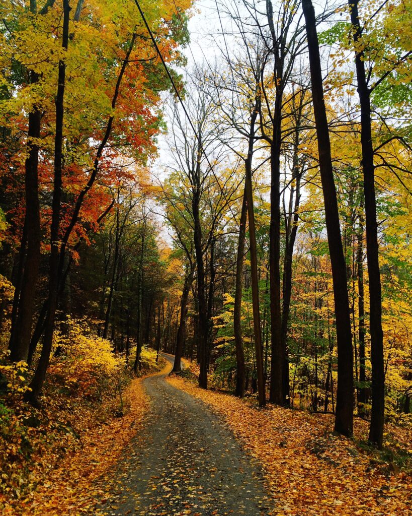 Day Trip: Kent Falls State Park & Downtown Kent, Connecticut ...